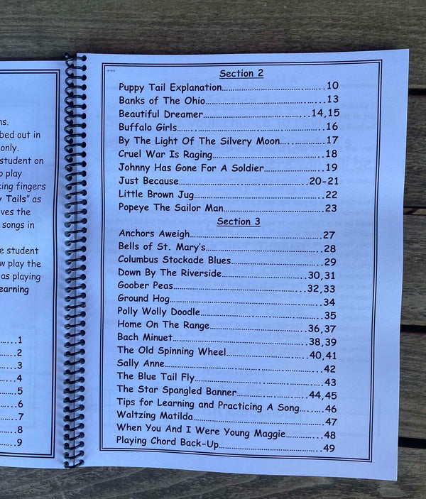 Old Joe Clark's Step Up -by Red Dog Jam - The Dulcimer Shoppe