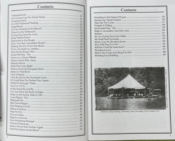 Hymns of the Old Camp Ground by Wayne Erbsen - The Dulcimer Shoppe